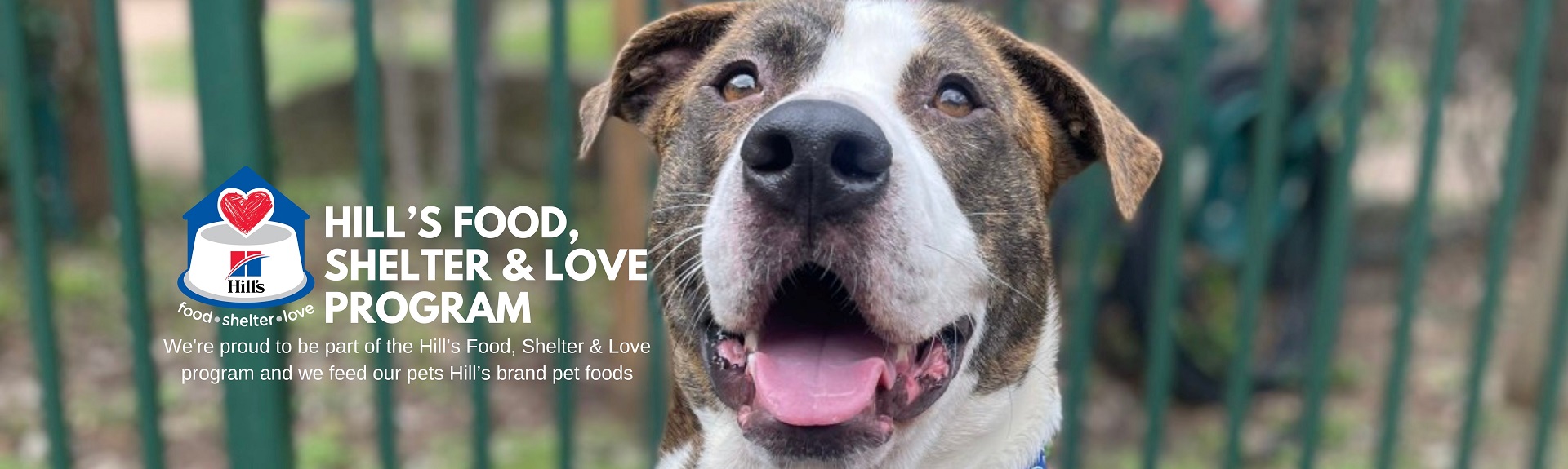 Houston Humane Society | Animal & Dog Shelter | Houston, TX